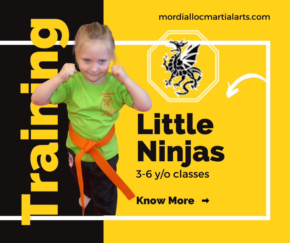 Little Ninjas – Mordialloc Martial Arts